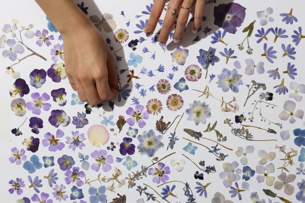 Pressed flower tips and tricks from our studio | Paperless Post